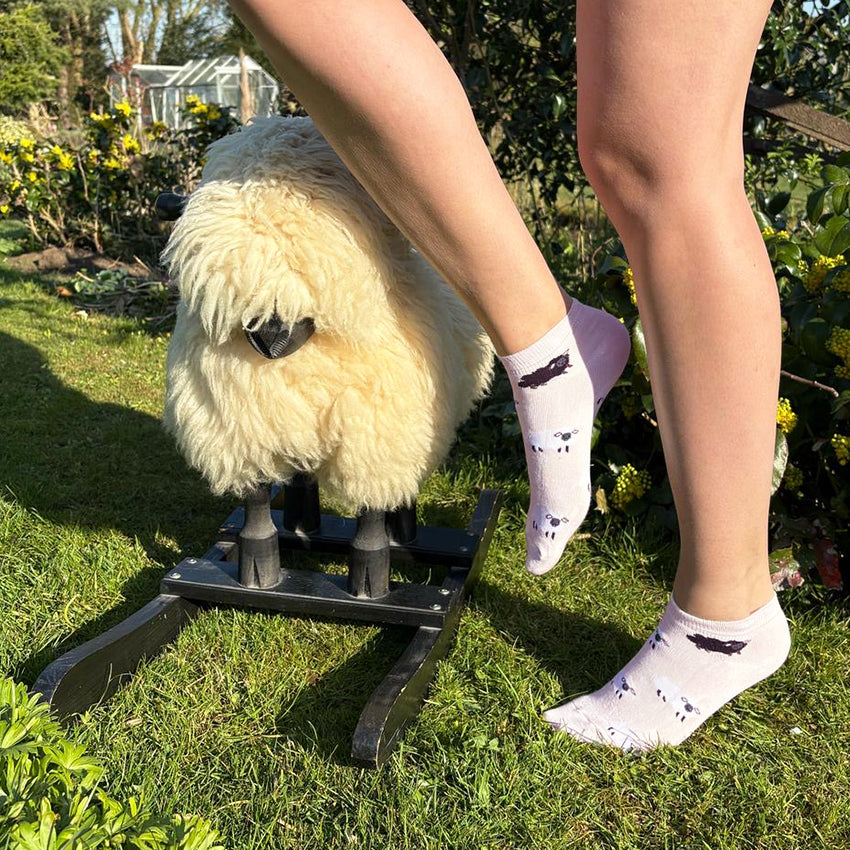 Sheep Bamboo Trainer Socks – Better Tights